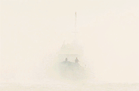 Shutter GIFs - Get the best gif on GIFER