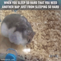 Power nap GIFs - Get the best gif on GIFER
