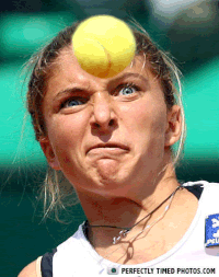 Concentration GIFs - Get the best gif on GIFER