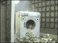 Washing GIFs - Get the best gif on GIFER
