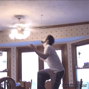 Отбор GIF - Conseguir el mejor gif en GIFER