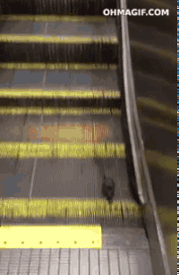 Escalator GIFs - Get the best gif on GIFER