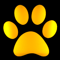 Paws GIFs - Get the best gif on GIFER