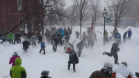 Snowballs GIFs - Get the best gif on GIFER