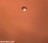 Drop GIFs - Get the best gif on GIFER