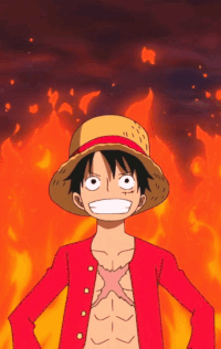 Onepiece GIFs - Get the best gif on GIFER