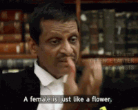 Botanica GIFs - Get the best gif on GIFER