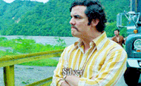 Narco GIFs - Get the best gif on GIFER
