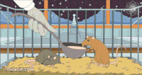 Ratas GIFs - Get the best gif on GIFER