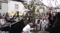 Cornwall GIFs - Get the best gif on GIFER