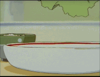 Lettuce GIFs - Get the best gif on GIFER