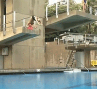 Dive GIFs - Get the best gif on GIFER