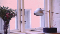 Lamp GIFs - Get the best gif on GIFER