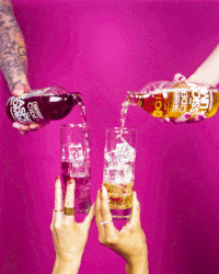 Cider GIFs - Get the best gif on GIFER