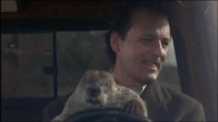 Groundhogs GIFs - Get the best gif on GIFER