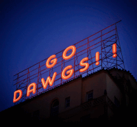Dawg GIFs - Get the best gif on GIFER