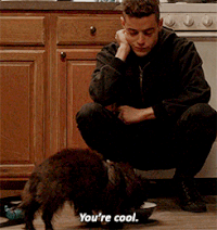 Flippers GIFs - Get the best gif on GIFER