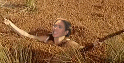 Clickhole GIFs - Get the best gif on GIFER