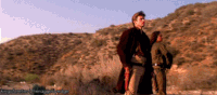 Firefly GIFs - Get the best gif on GIFER