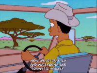 Tour guide GIFs - Get the best gif on GIFER