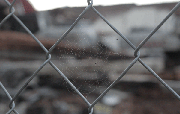 Chain link fence GIFs - Hole dir die besten GIFs auf GIFER