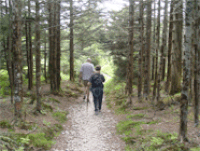 Hiking GIFs - Get the best gif on GIFER