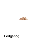 Pesos GIFs - Get the best gif on GIFER