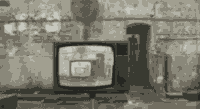 Television GIFs - Get the best gif on GIFER