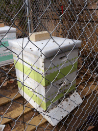 Hiv GIFs - Get the best gif on GIFER