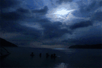 Lolololol GIFs - Get the best gif on GIFER