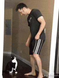 Compilation GIFs - Get the best gif on GIFER