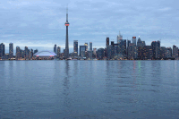 Toronto GIFs - Get the best gif on GIFER