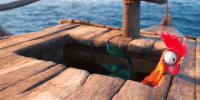 Rooster GIFs - Get the best gif on GIFER