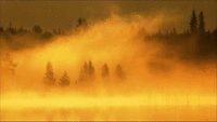 Mist GIFs - Get the best gif on GIFER
