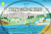 Concentration GIFs - Get the best gif on GIFER