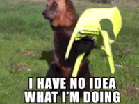 Cadeira GIF - Conseguir o melhor gif em GIFER