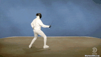 Fencing GIFs - Get the best gif on GIFER