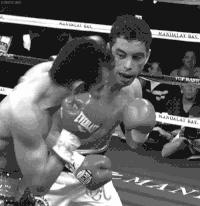 Boxing GIFs - Get the best gif on GIFER
