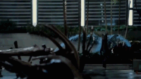 Ishida GIFs - Get the best gif on GIFER