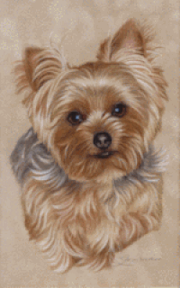 Cae GIFs - Get the best gif on GIFER