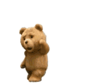 Ted GIFs - Get the best gif on GIFER