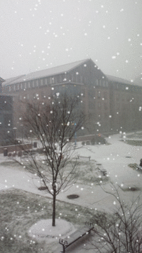 Village GIFs - Get the best gif on GIFER