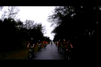 Rota GIFs - Get the best gif on GIFER