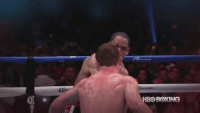 Canelo GIFs - Get the best gif on GIFER