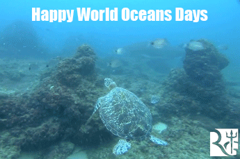 Ocean oceans worldoceanday GIFs - Get the best gif on GIFER