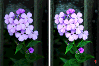 Comparison GIFs - Get the best gif on GIFER