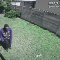 Thief GIFs - Get the best gif on GIFER