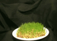 Distance GIFs - Get the best gif on GIFER