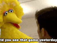 Big bird GIFs - Get the best gif on GIFER