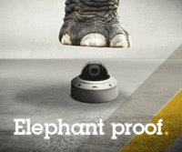 Detection GIFs - Get the best gif on GIFER